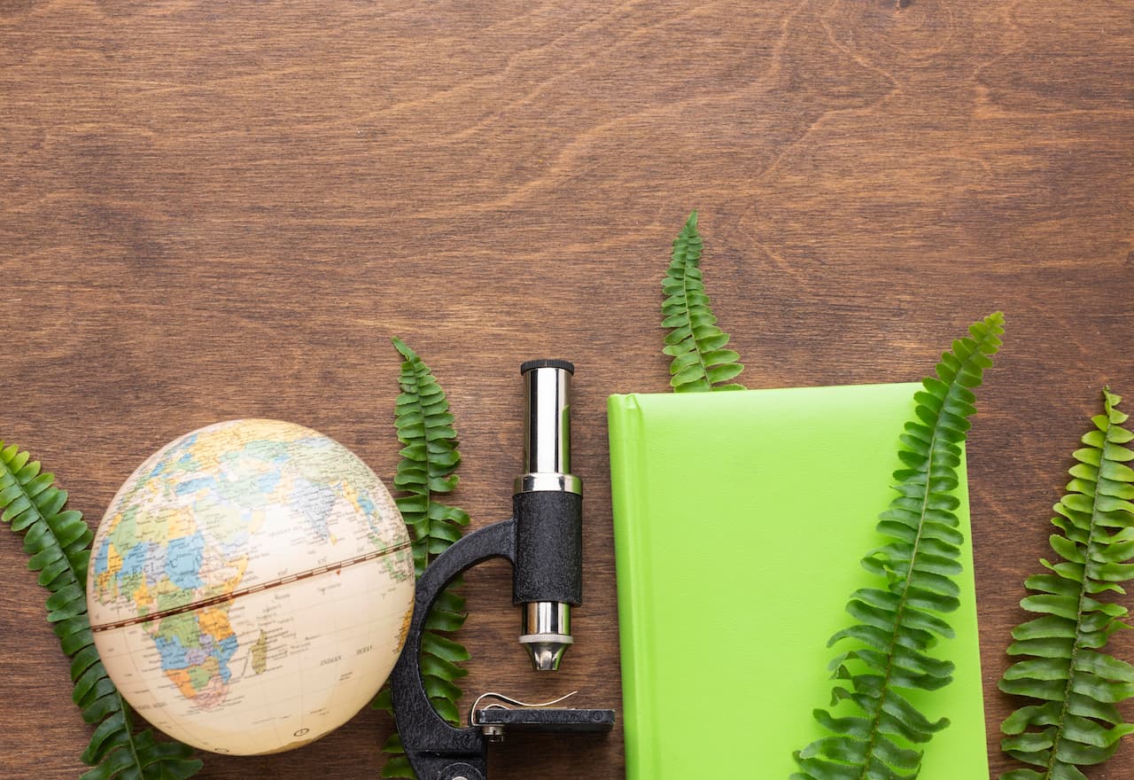 Visa Options for Professionals with Extraordinary Ability